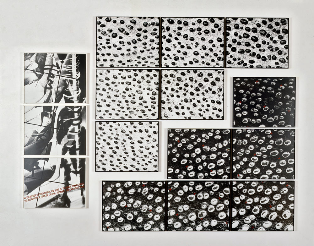 How to know | Jochen Gerz